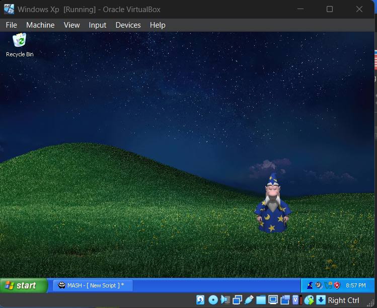 Merlin the Microsoft Wizard